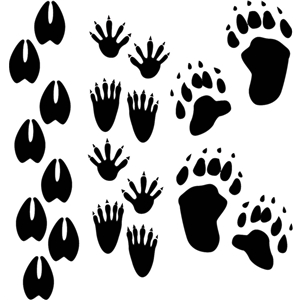 Silhouette Design Store - View Design #9900: animal tracks